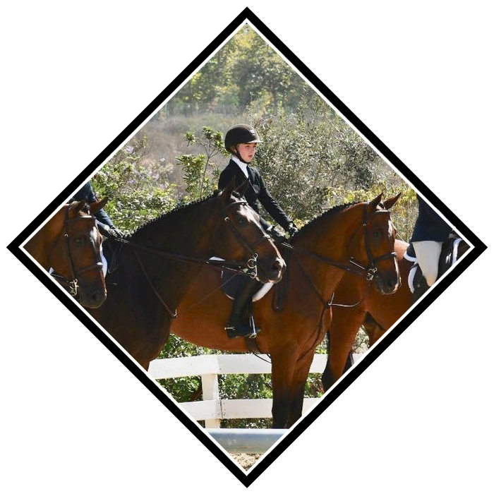 Elvenstar Orange County | Elvenstar